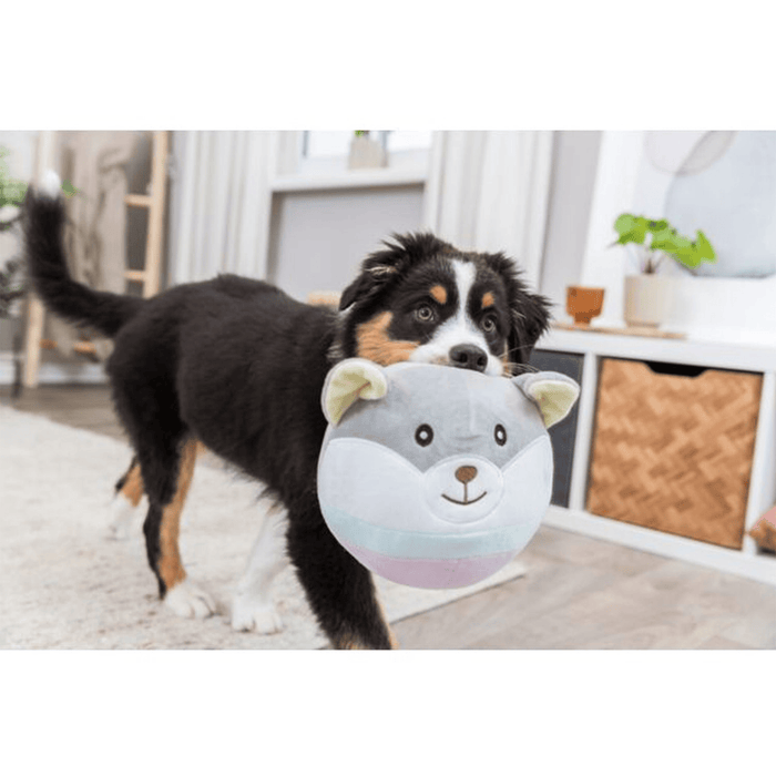 Plüschball Junior Bär - Plüsch Hundespielzeug — Tierisch-tolle-Geschenke